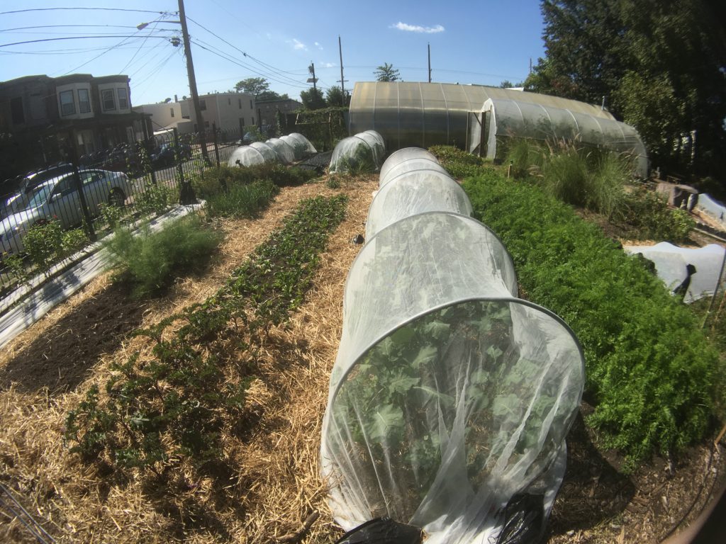 Urban Farm - Center for Environmental Transformation